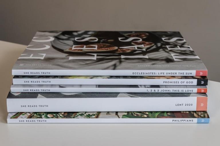 She Reads Truth - A Reading Plan Review - Honing A Healthy Home