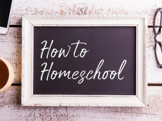 How to Homeschool: A Step-by-Step Guide for Beginners